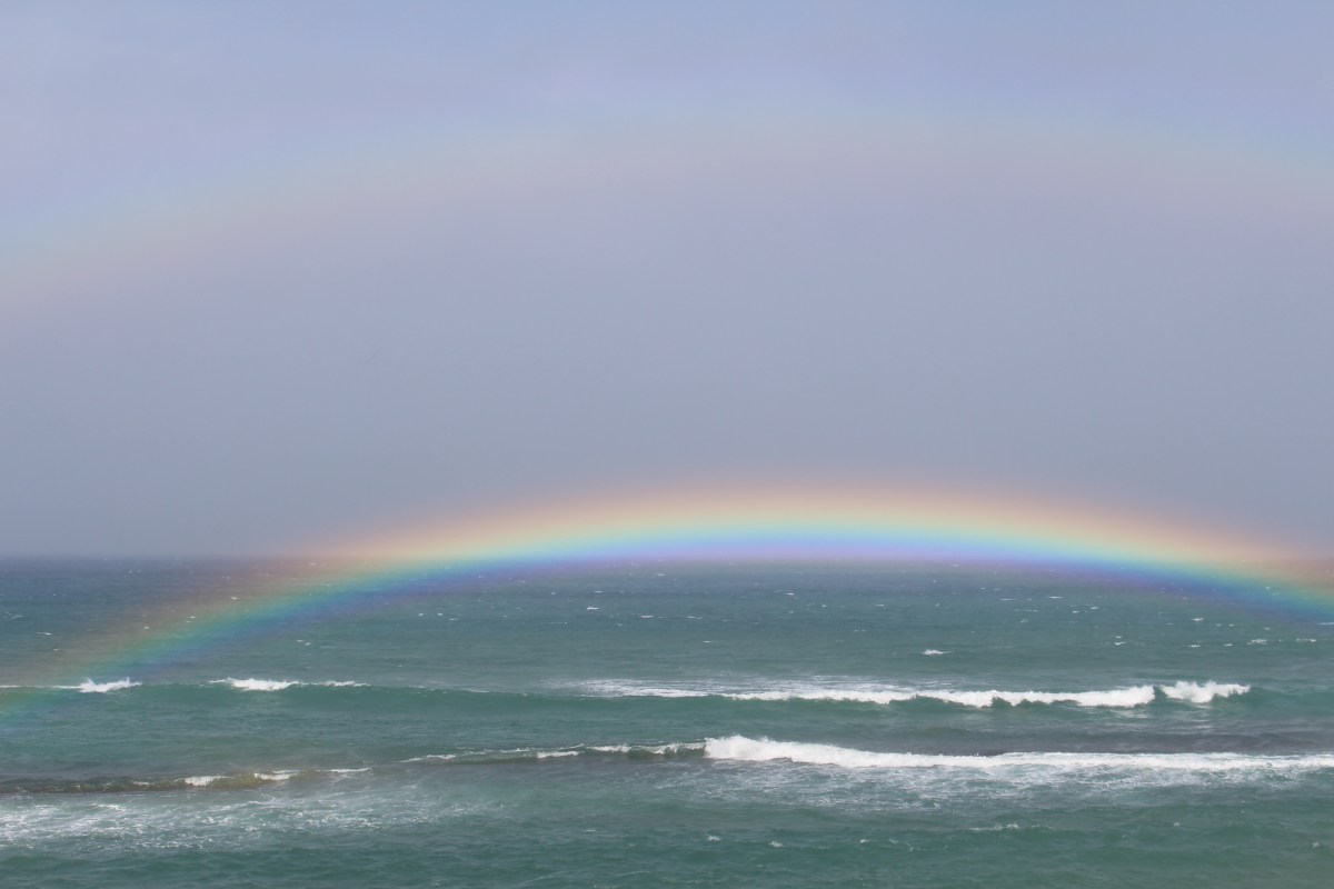 Our Subsumed Lives | The Unseen Words Project