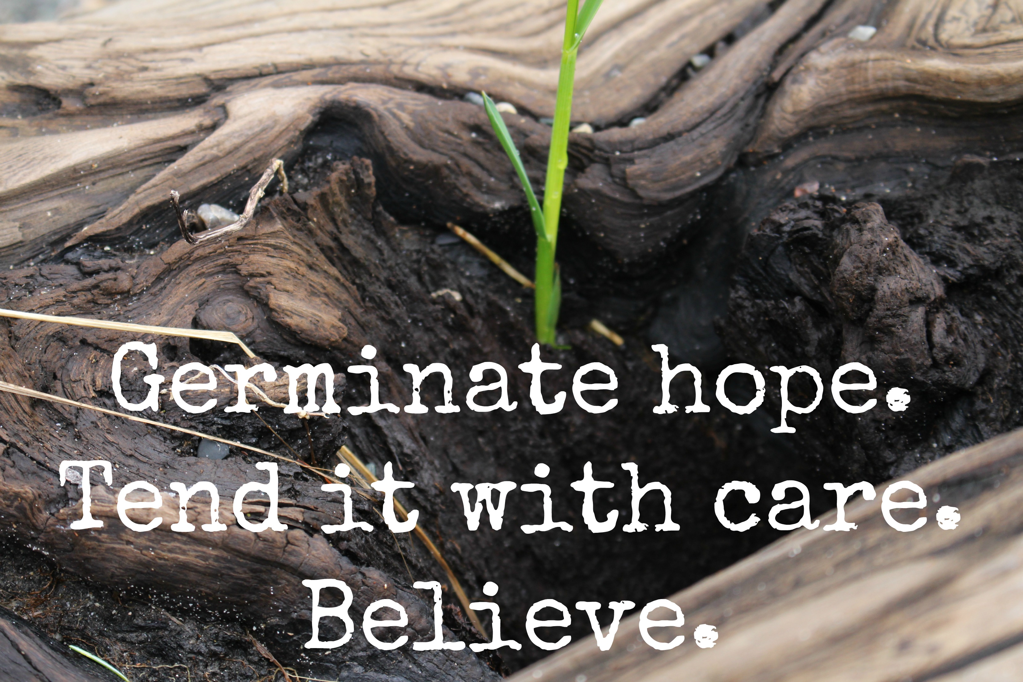 Tend your Believe. | The Unseen Words Project