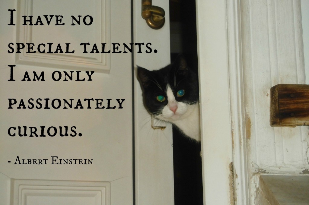 Albert Einstein | The Unseen Words Project